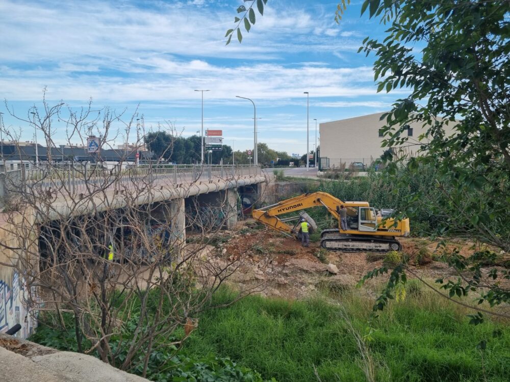 Work begins to remove giant reeds from the Gorgos riverbed – javeamigos.com